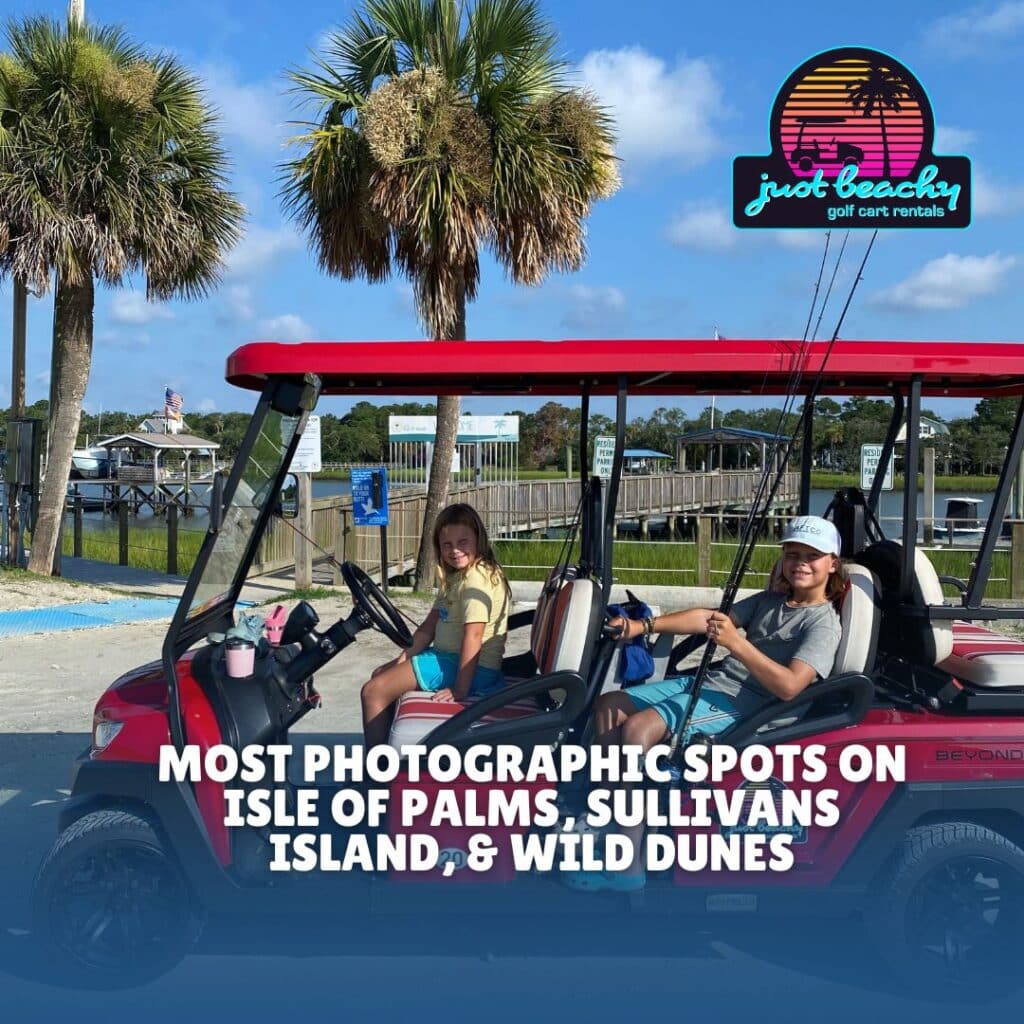 Most Photographic Spots on Isle of Palms, Sullivan’s Island, and Wild ...